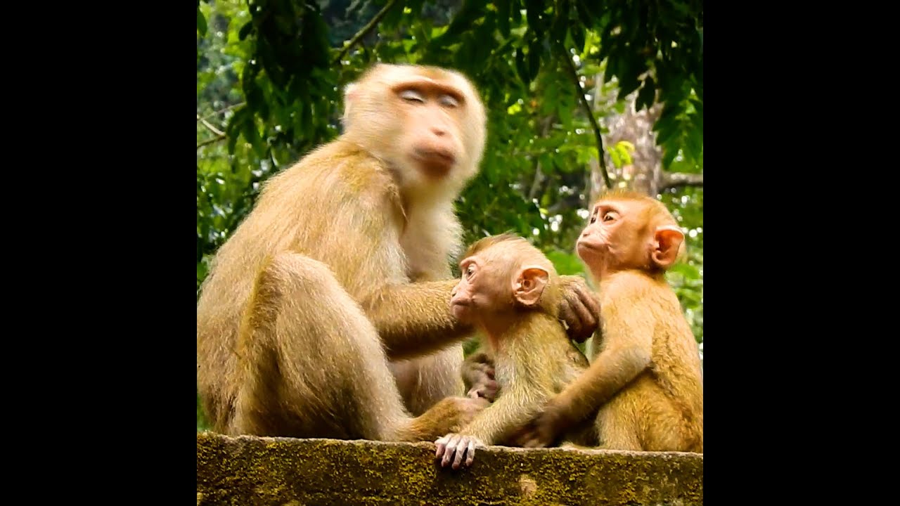 Angela Asking Libby To Hug Rainbow - YouTube