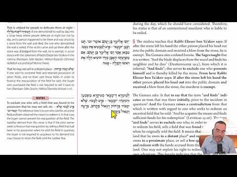 Daf Yomi - Makkot 8 - YouTube