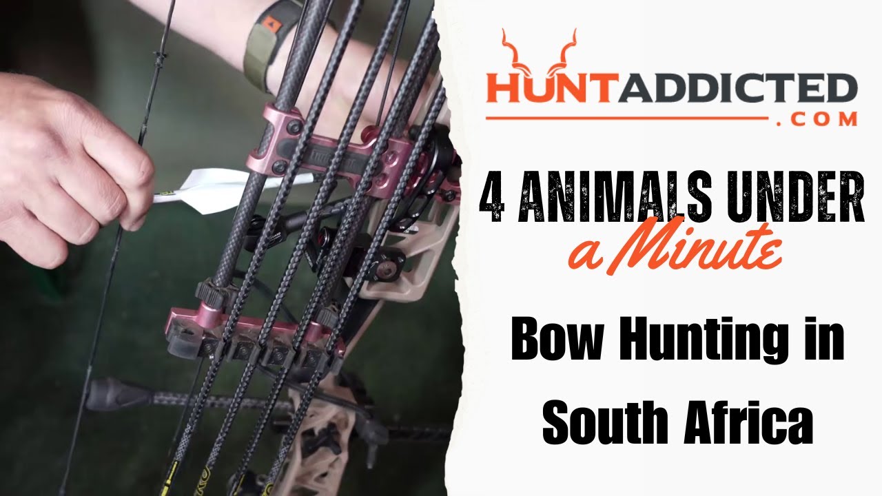 4 Animals Under a Minute: Bow Hunting in South Africa - YouTube