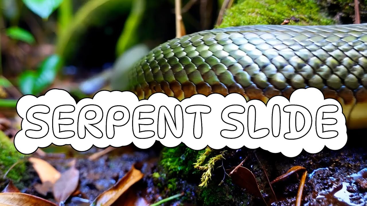 Serpent Slide - Lyrics | Music Video - YouTube
