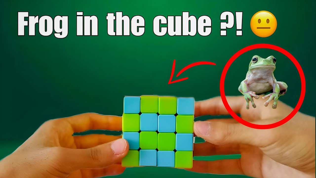 Toturial Rubik cube 4x4 | frog pattern 🐸 - YouTube