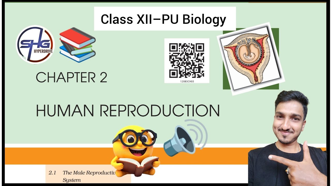 Class XII Ch-2: Human Reproduction #lifescience#zoology #biologyclass12 ...