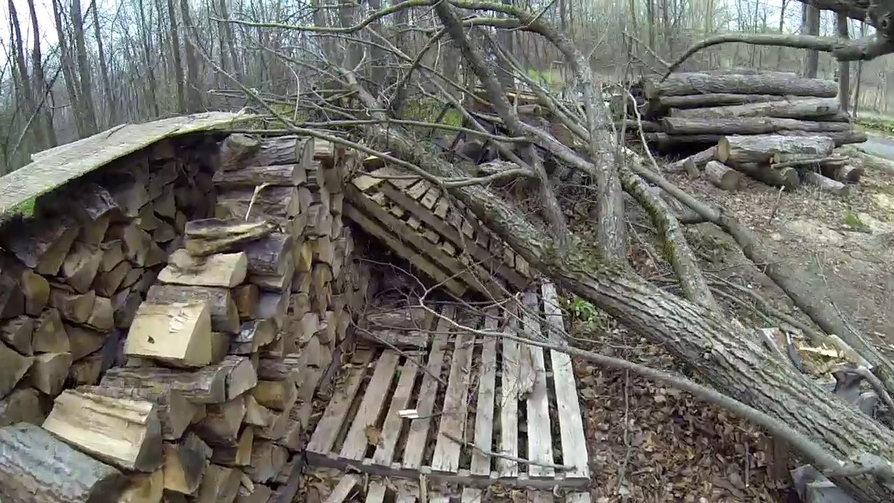 Cutting, trimming, blocking, and splitting a 20" maple tree in time ...