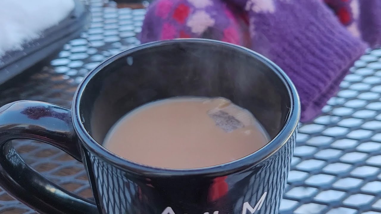 Drinking Tea in The Snow With Dogs #petvlogs - YouTube