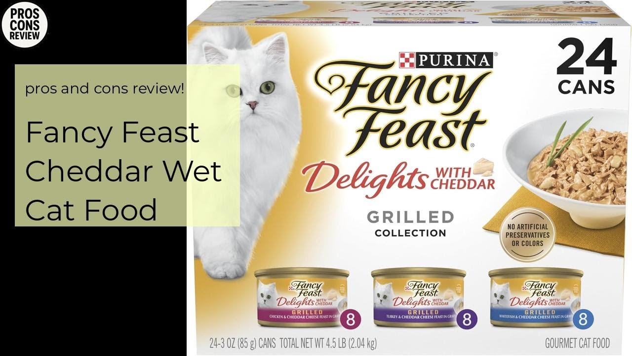 Fancy Feast Cheddar Wet Cat Food Pros & Cons Review - YouTube