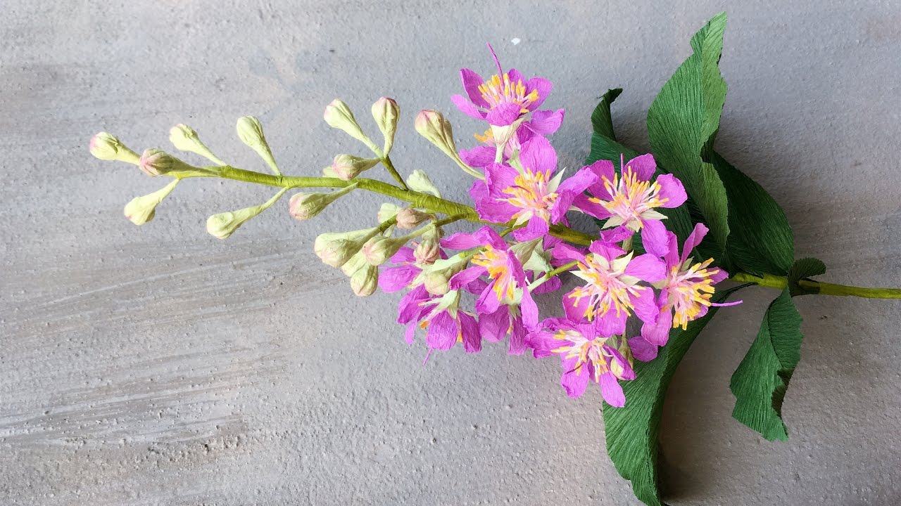 ABC TV | How To Make Queen's Crape Myrtle Paper Flowers From Crepe ...