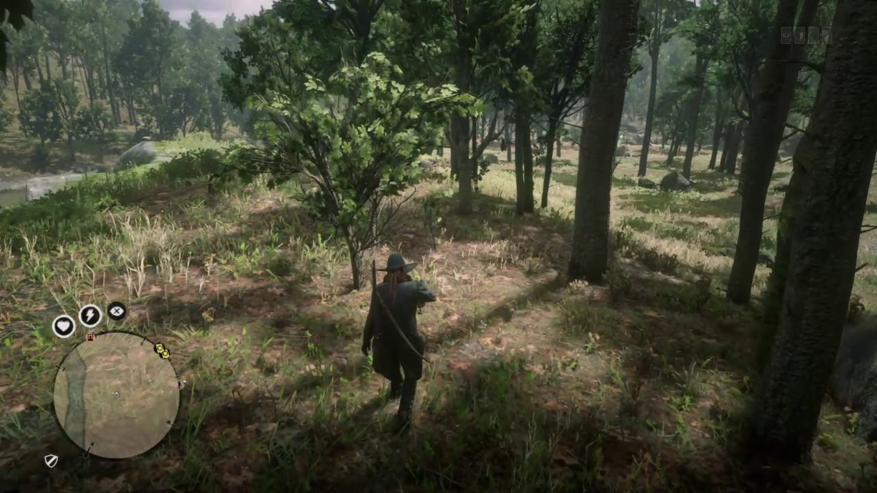 Red Dead Redemption 2 Online Roanoke Valley Collectible - YouTube