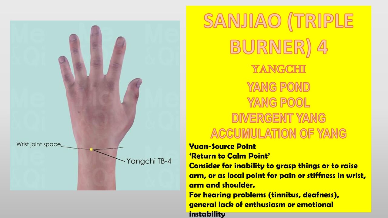 TRIPLE BURNER (SANJIAO) 4 YANGCHI (YANG POND, YANG POOL, DIVERGENT YANG ...