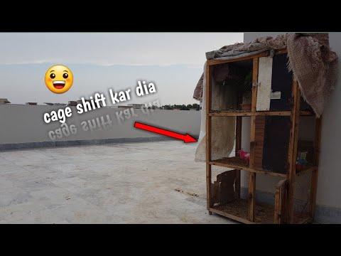Cage shift kar dia😀 - YouTube