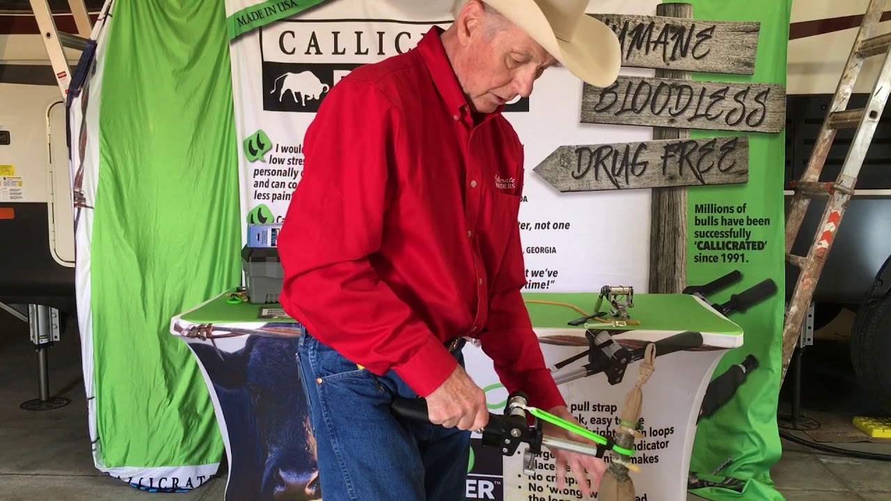 Callicrate Bander - YouTube