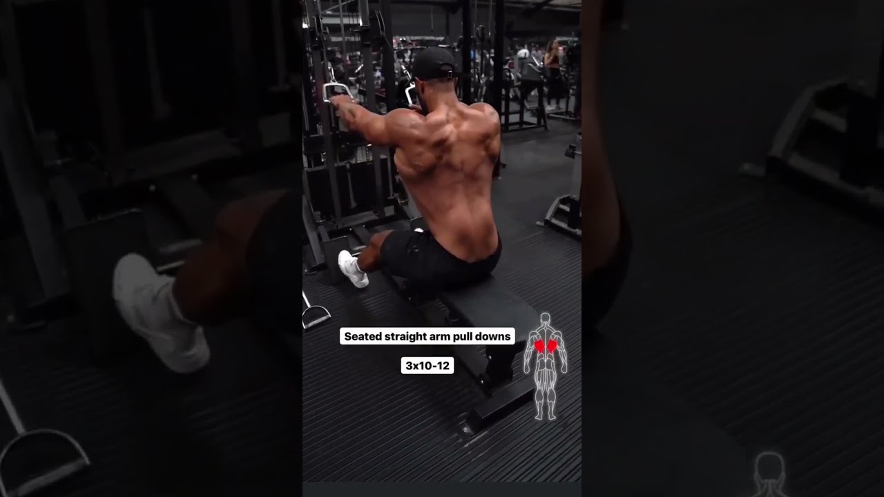 Gym workout backs gym exercise positions - YouTube
