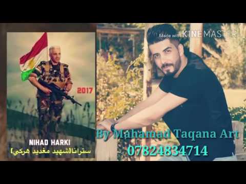 نیهاد هەرکی سترانەک سەر شەهید مغدید هەرکی {Nihad Herki Art