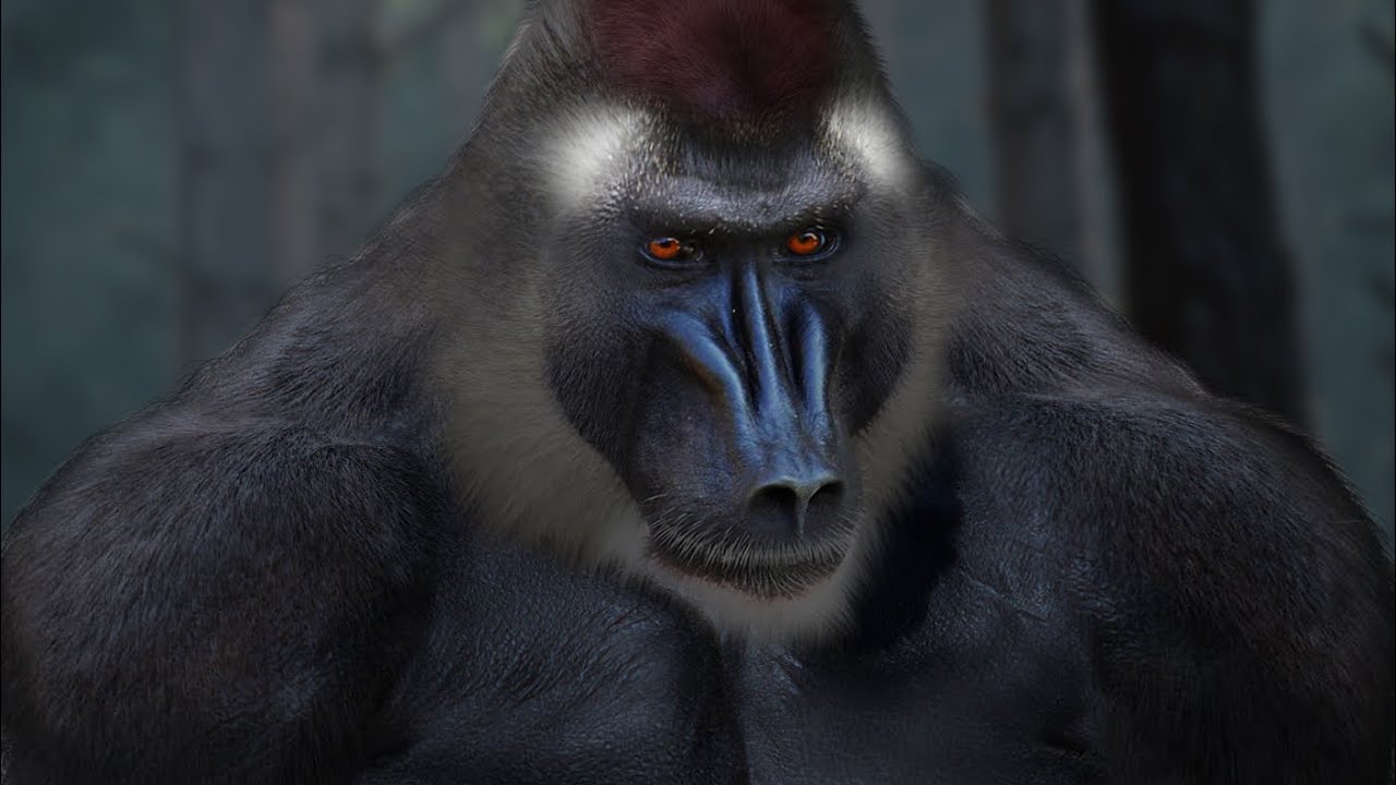 The bogeyman is real. - YouTube