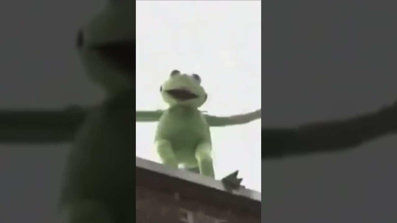 Kermit the frog falling meme | Tube Memes - YouTube