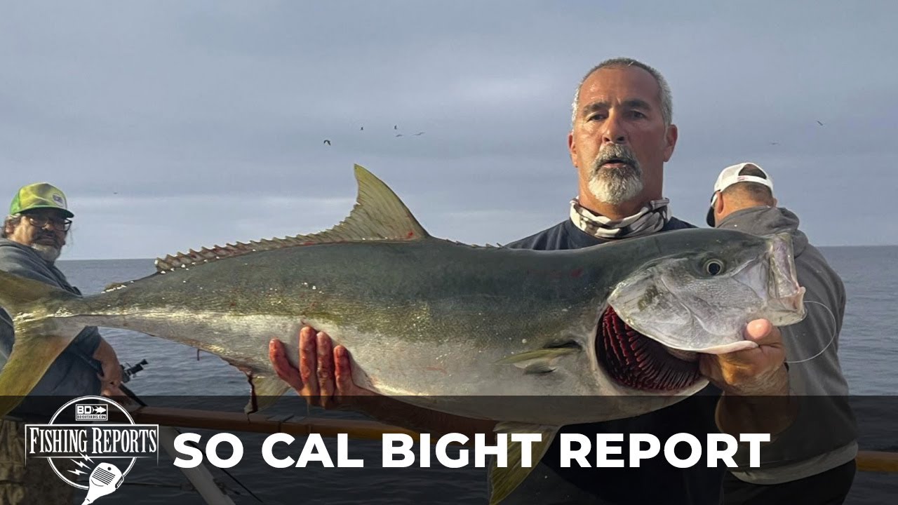 Southern California Bight FISHING REPORT 06/17/22 - YouTube