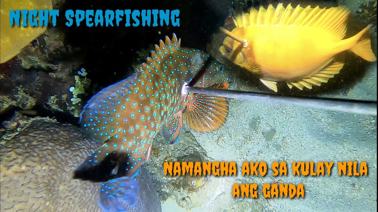EPISODE 113 | UNANG SILIP NAMANGHA AGAD AKO SA AKING NAKITA ANG GANDA ...