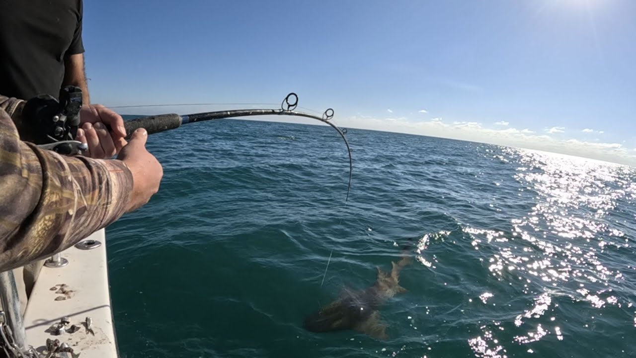 Fishing with Sea Dog Fishing Charters in Marathon, Florida...lots of ...