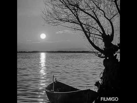 Fon kısa beat müzik