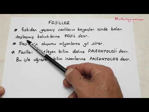 4.sınıf fen bilimleri yerkabuğunun yapısı, kayaçlar, madenler, fosiller @Bulbulogretmen  #fen