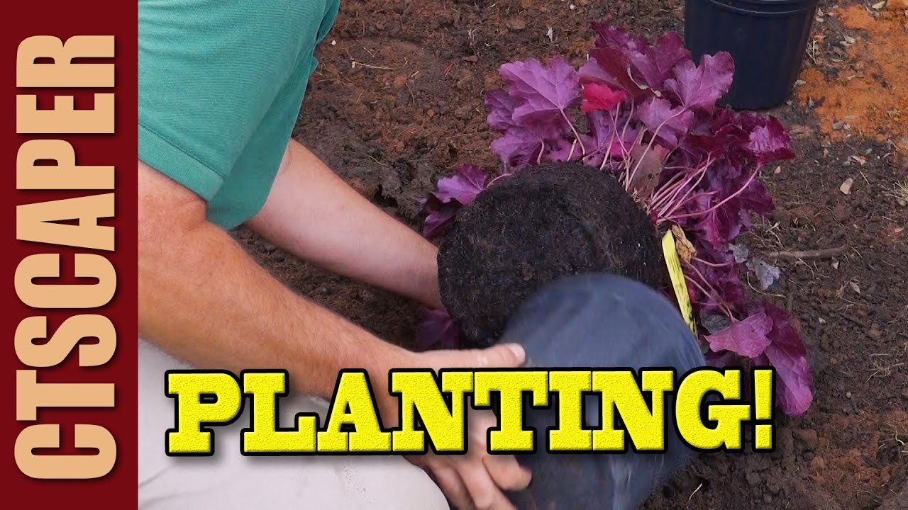 LANDSCAPE DESIGN TALK and PLANTING PERENNIALS - YouTube