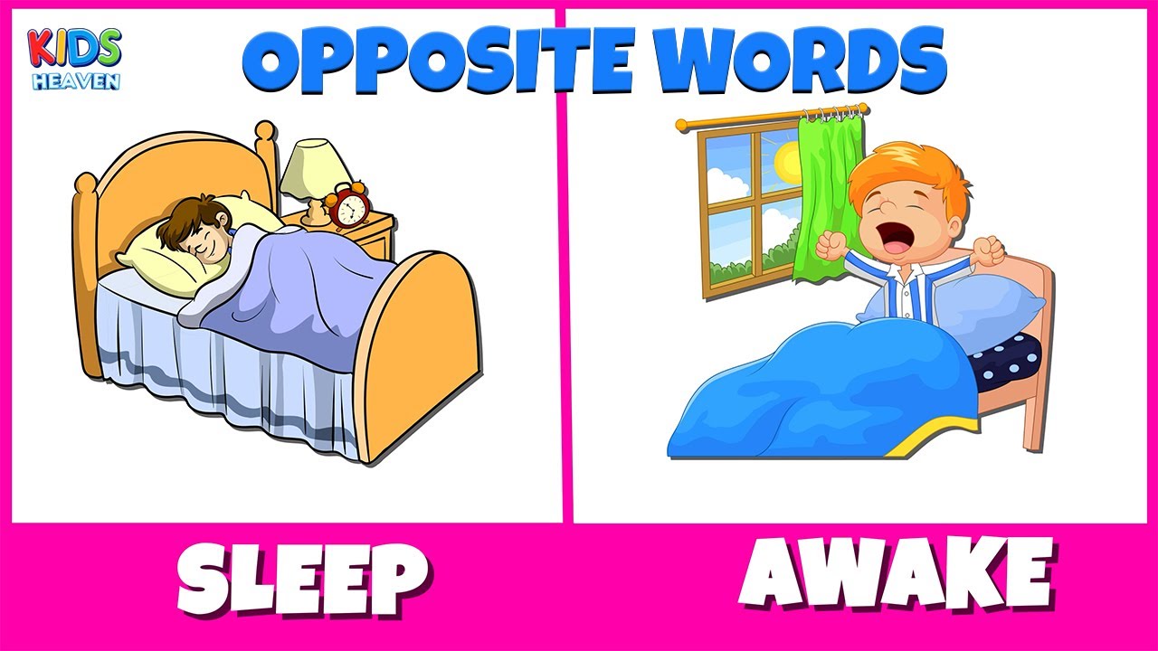 Learn Opposites Educational Video - Educational Videos For Toddlers ...