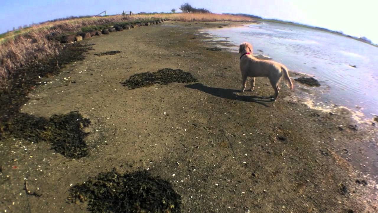 STINKY BEACH! - YouTube