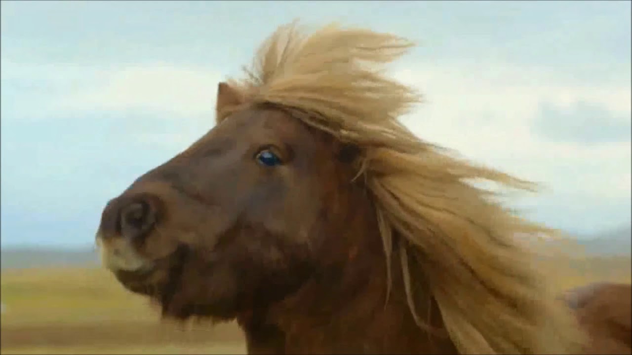 Pony Salvaje Al Reves - YouTube