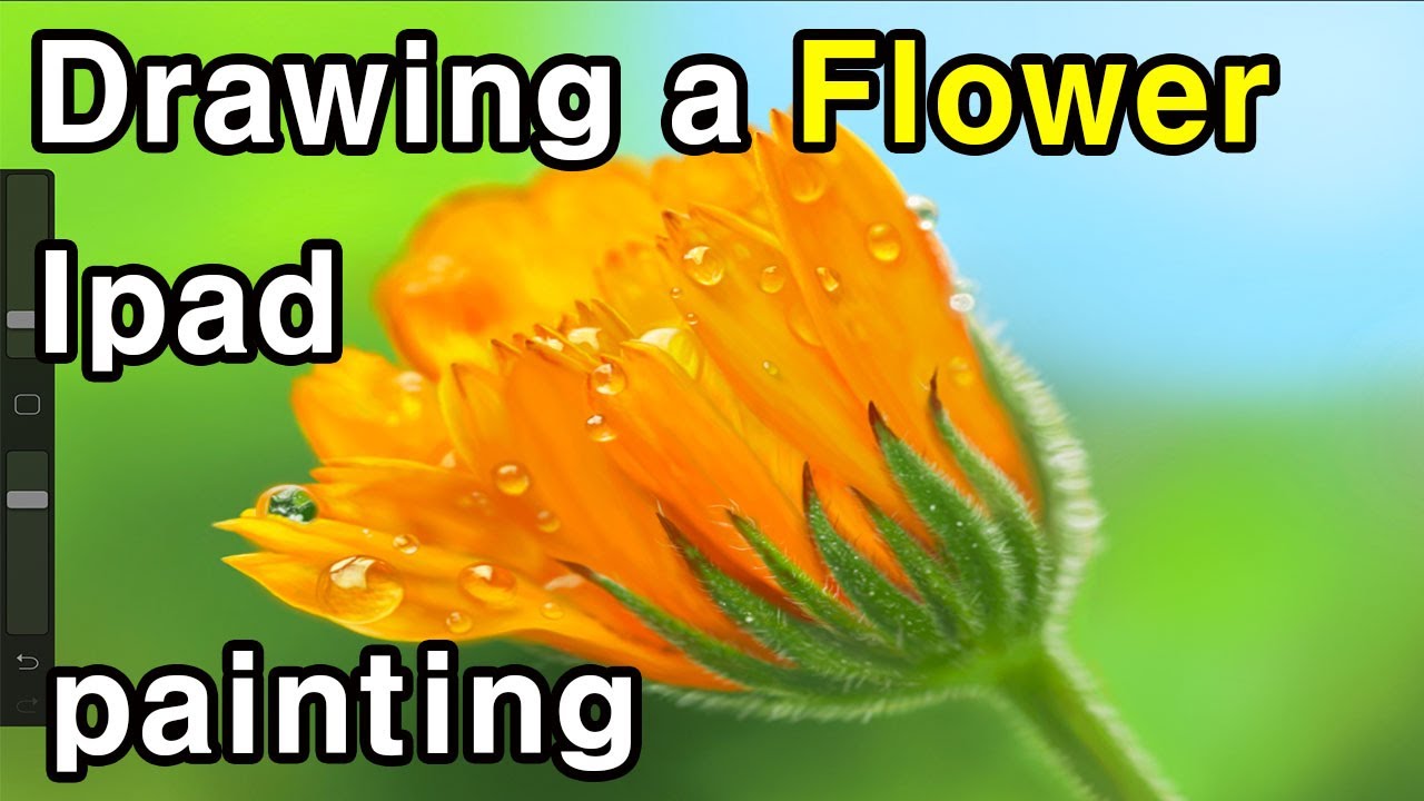 Painting Ipad drawing a flower procreate art 아이패드그림 꽃그림 프로크리에이트 - YouTube