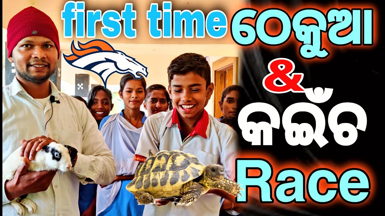 Tortoise Vs Hare -Who wins ?? Race between tortoise and Rabbit.kahaani kitni sachhi.100%real ...