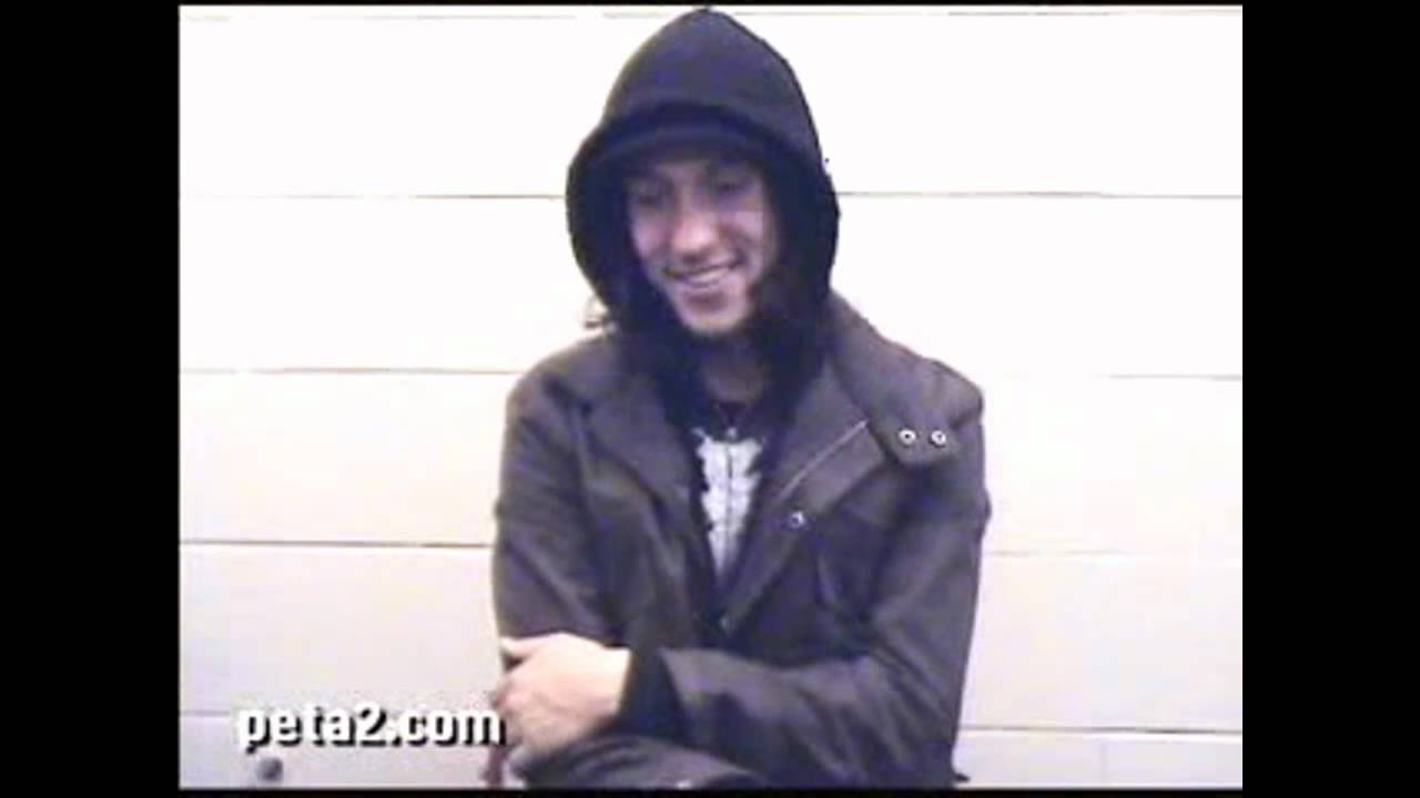 Saosin's Cove Reber - YouTube