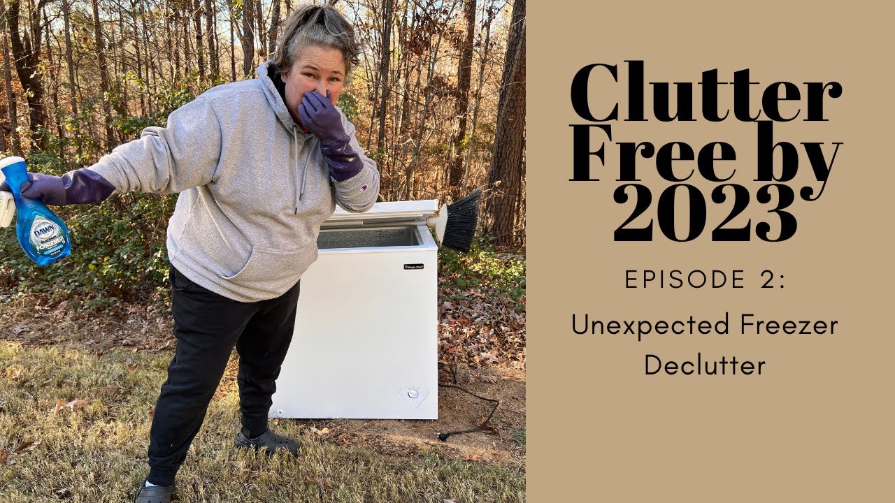 Clutter Free by 2023 - Episode 2 - Deep Freezer Declutter (Unexpected ...