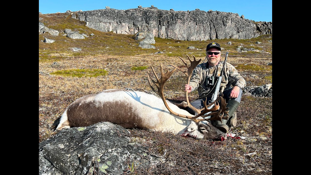 Greenland Reindeer Hunt - YouTube