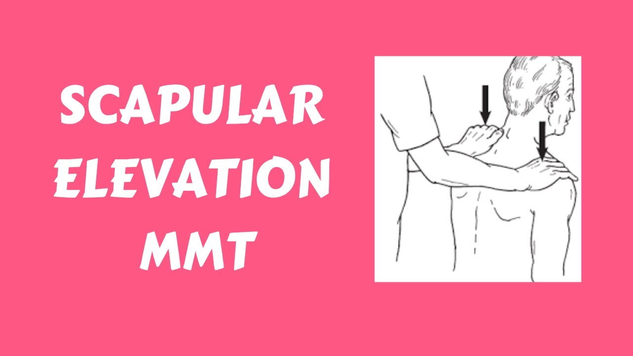LEARN MMT OF SCAPULAR ELEVATION IN EASY WAY!! - YouTube