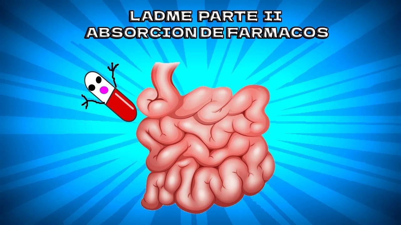 Absorción de Fármacos - Farmacocinética parte 2 - YouTube