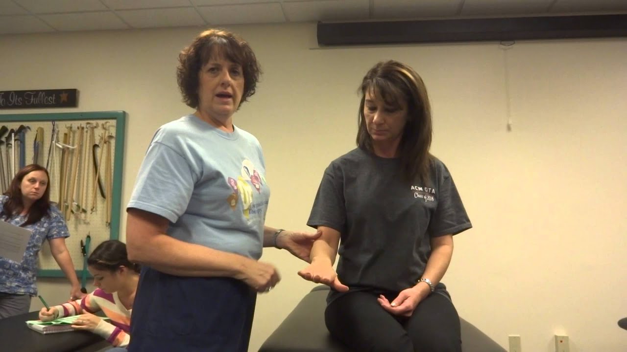 MMT Biceps brachii, brachialis, brachioradialis anti gravity ...