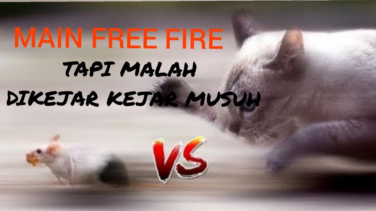 DIKEJAR KEJAR SEPERTI KUCING DAN TIKUS.free fire indonesia - YouTube