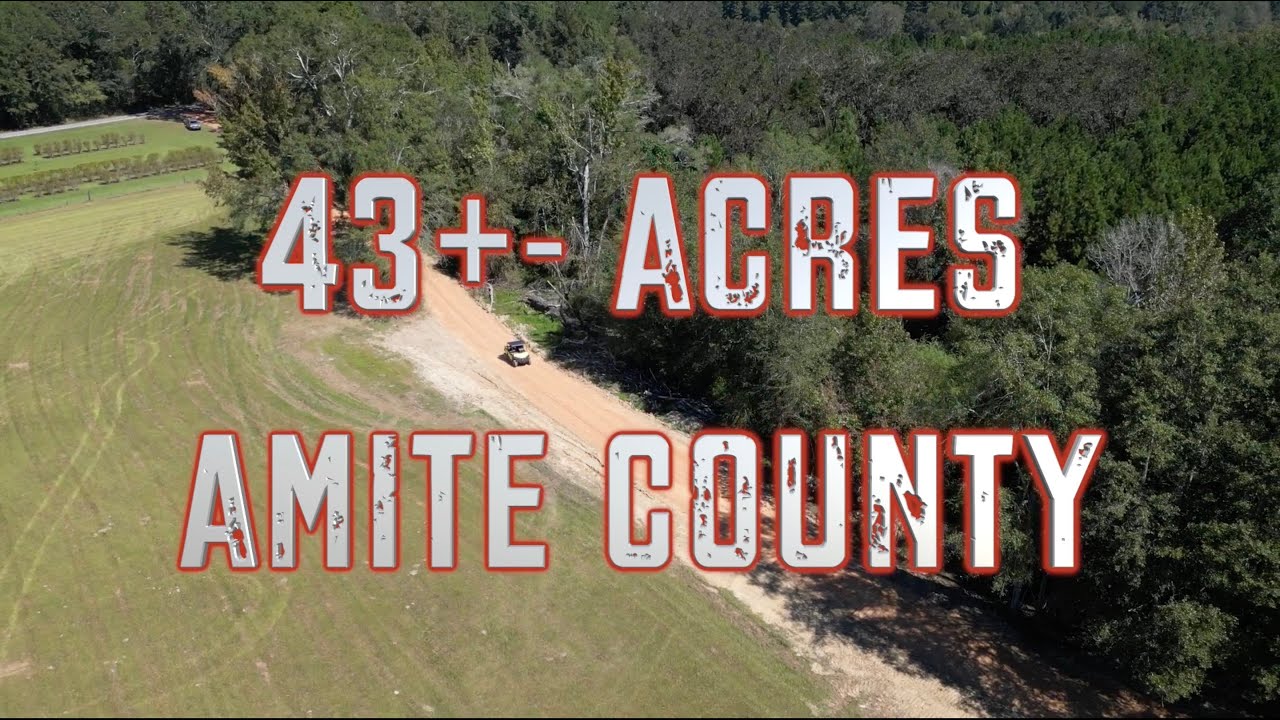 43+- Acres in Amite County, MS of Deer and Turkey Hunting - YouTube