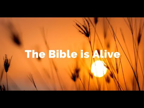 The Bible is Alive - YouTube