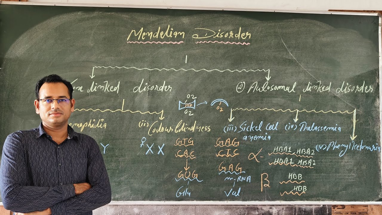 Mendelian Disorder | Class 12 | Biology - Genetics - YouTube