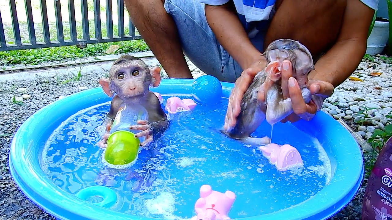 Active Boy POLEE Be Calm Quickly When He Get Bottle In Arms. - YouTube