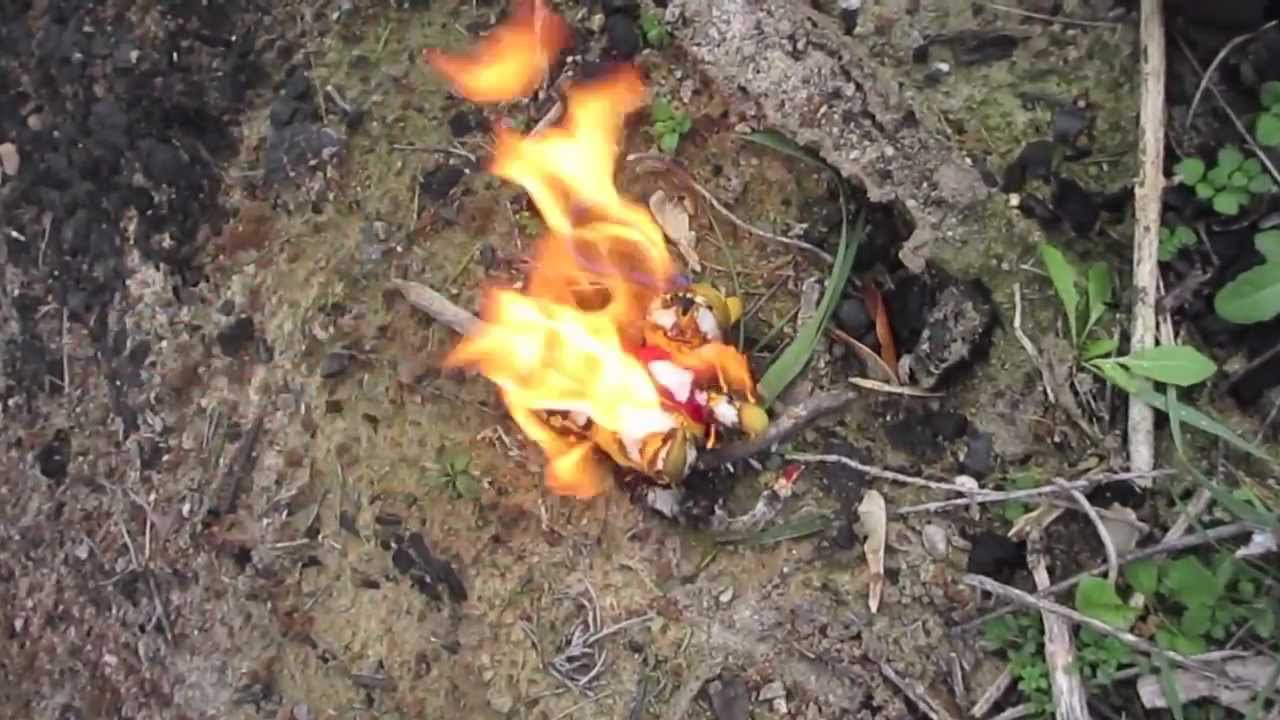 Winnie The Pooh On Fire - YouTube