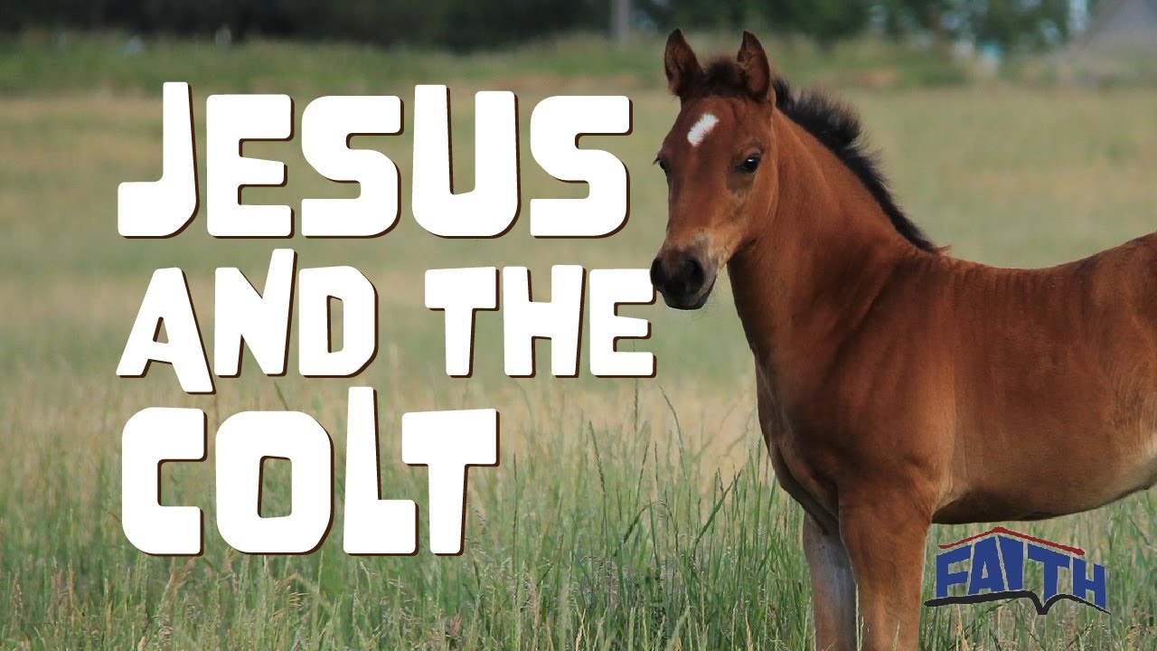 Jesus and the Colt | Pastor Anthony Wade | Faith Building Church - YouTube