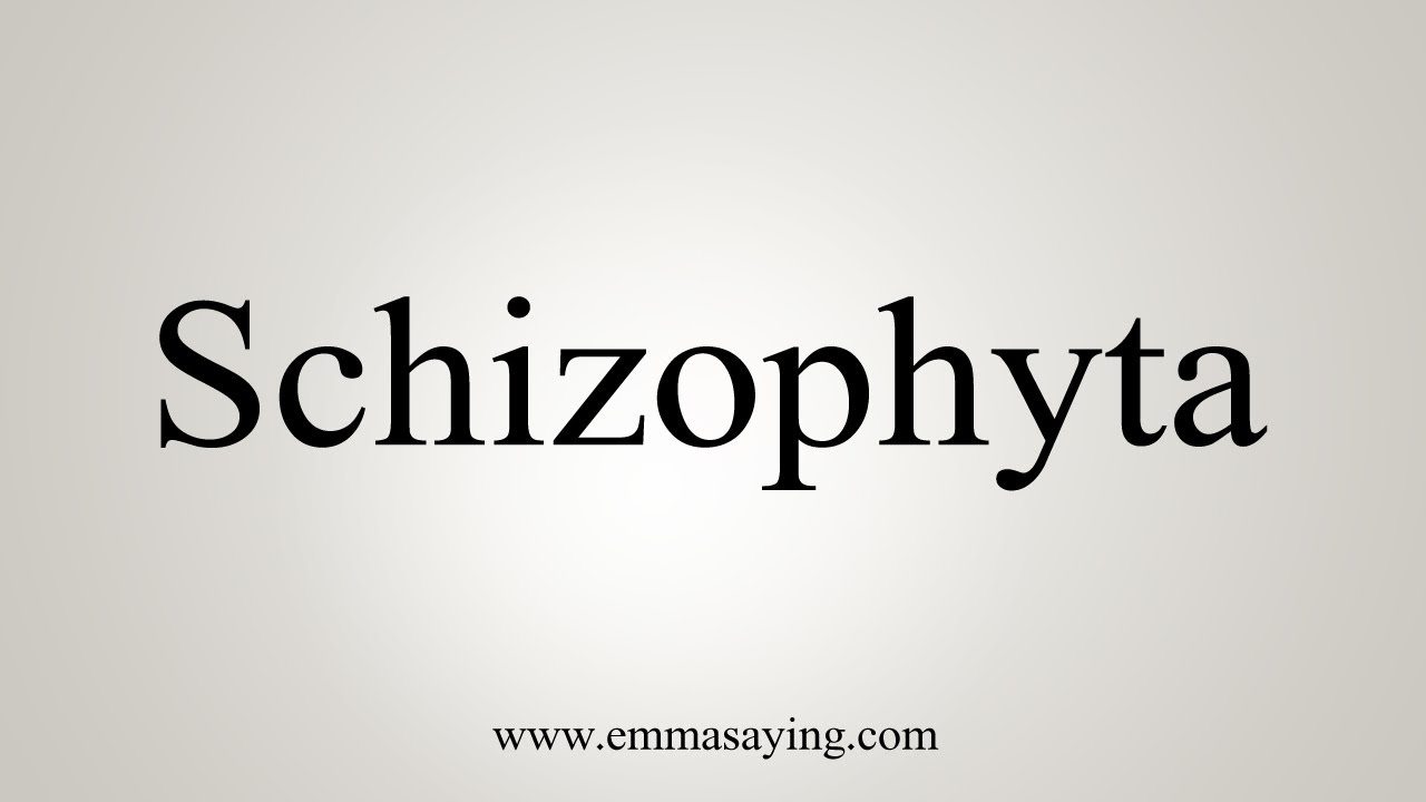 How To Say Schizophyta - YouTube
