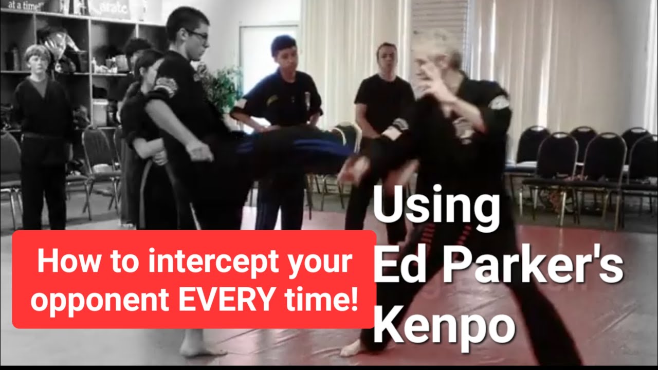 Kenpo Karate Techniques Akki Youtube