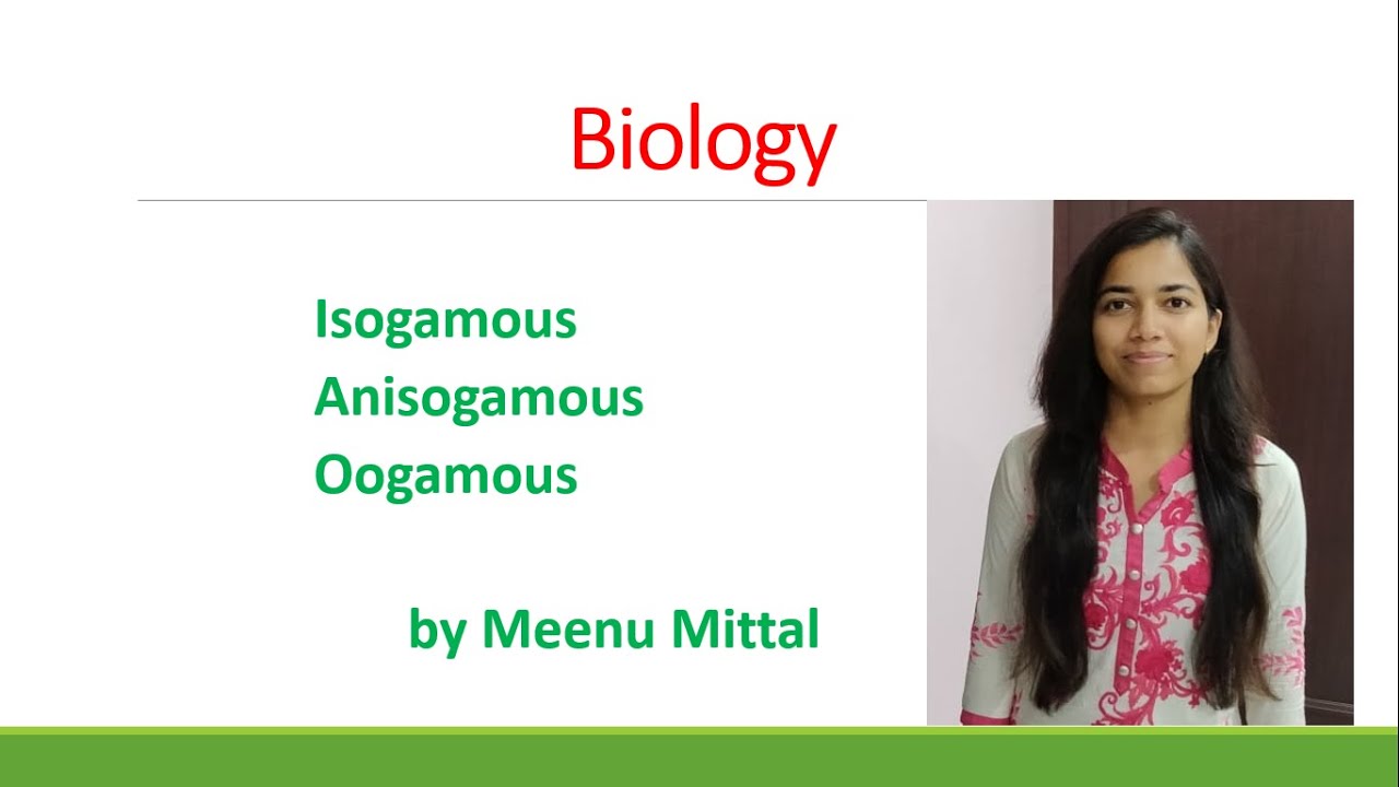 Isogamous Anisogamous oogamous | Hetrogamy - YouTube