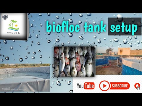 biofloc tank construction & installation work - YouTube