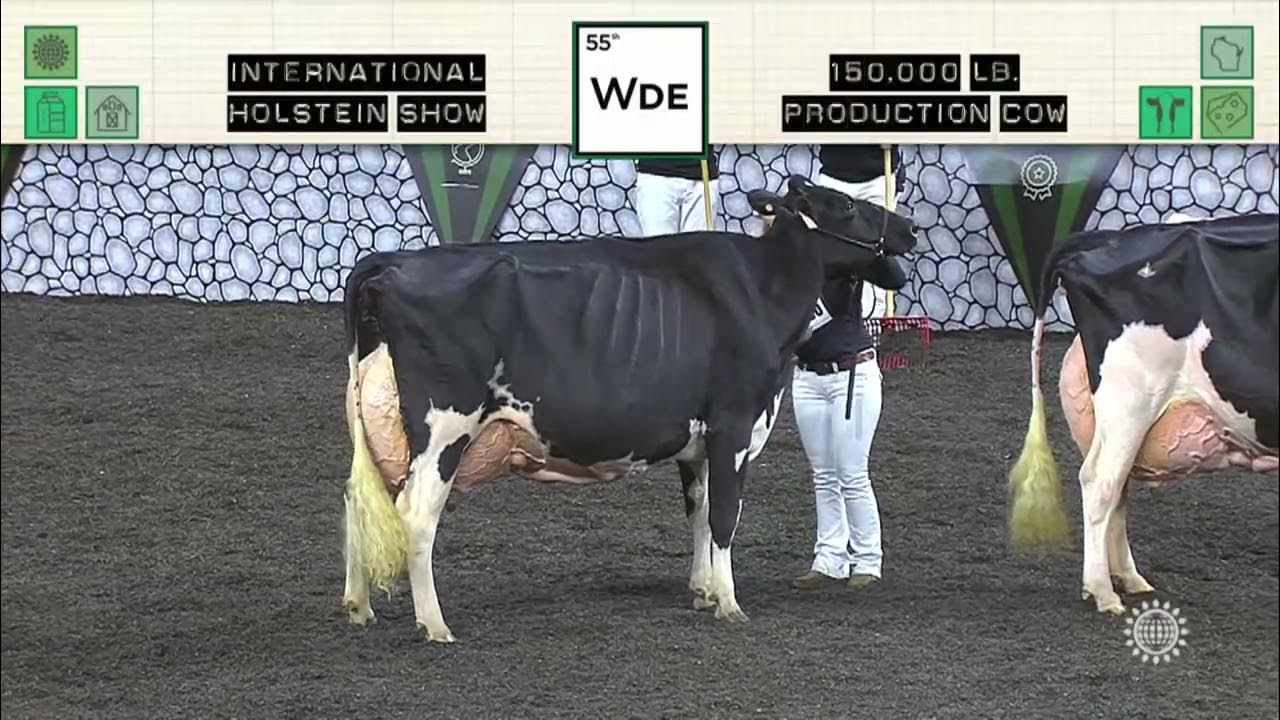 741 HOLSTEIN 150,000 LB. PRODUCTION COW - YouTube