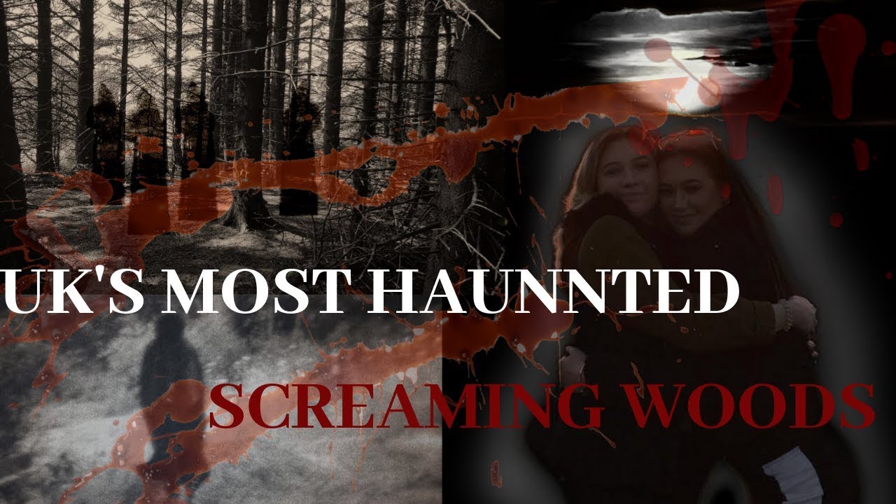 Exploring UK's Most Haunted Forest At Night | SCREAMING WOODS - YouTube