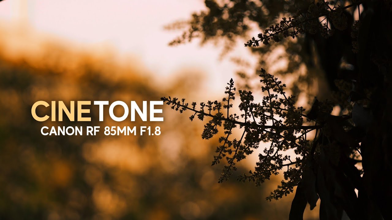 CineTone From Direct Camera | Canon EOS R6 M2 - YouTube