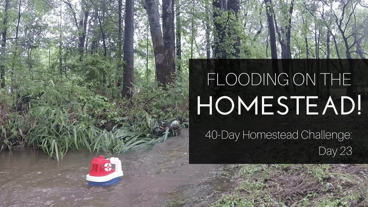 Flooding on the Homestead! What We Learned - Modern Homesteader - YouTube